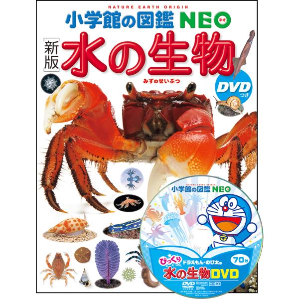出版社名：小学館シリーズ名：小学館の図鑑ＮＥＯ発行年月：2019年06月版：新版キーワード：ミズ ノ セイブツ