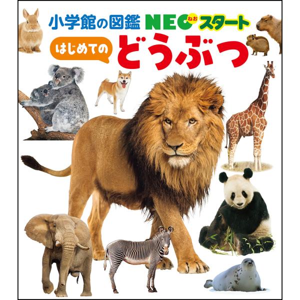 出版社名：小学館著者名：田島木綿子シリーズ名：小学館の図鑑ＮＥＯ　スタート発行年月：2026年03月キーワード：ハジメテ ノ ドウブツ、タジマ,ユウコ