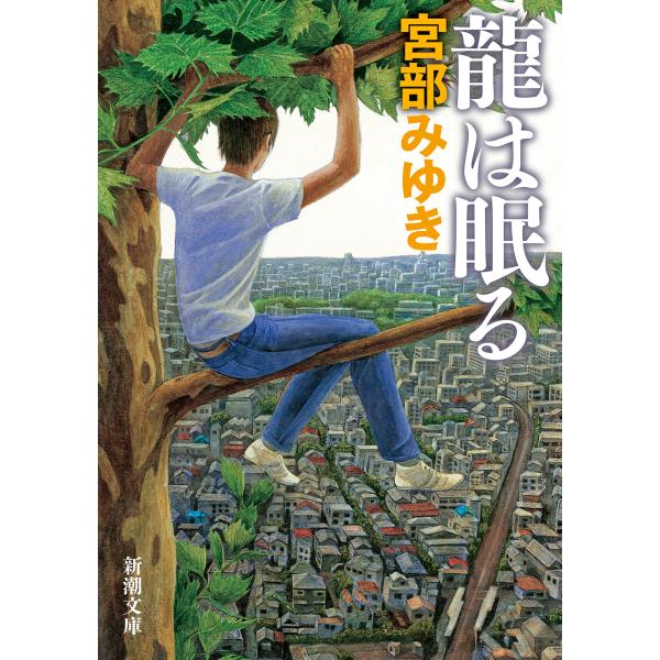 出版社名：新潮社著者名：宮部みゆきシリーズ名：新潮文庫発行年月：2011年06月版：改版キーワード：リュウ ワ ネムル、ミヤベ,ミユキ