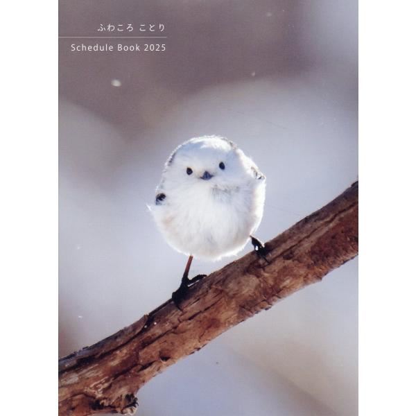 出版社名：インプレス発行年月：2024年09月キーワード：フワコロ コトリ スケジュール ブック*フワコロ コトリ SCHEDULE BOOK