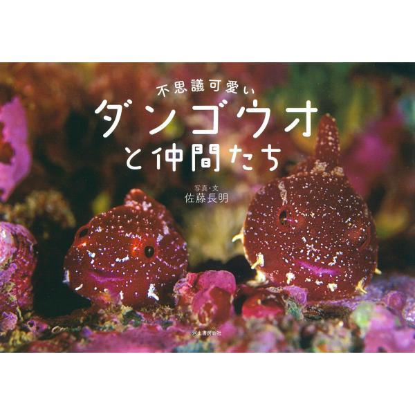 出版社名：河出書房新社著者名：佐藤長明発行年月：2022年02月版：増補新装版キーワード：フシギ カワイイ ダンゴウオ ト ナカマタチ、サトウ,ナガアキ