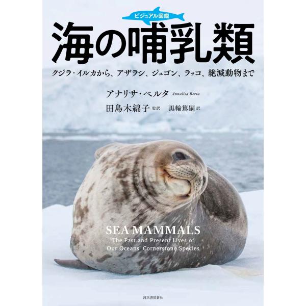 出版社名：河出書房新社著者名：アナリサ・ベルタ、田島木綿子、黒輪篤嗣発行年月：2026年06月キーワード：ビジュアル ズカン ウミ ノ ホニュウルイ、ベルタ,アナリサ、タジマ,ユウコ、クロワ,アツシ