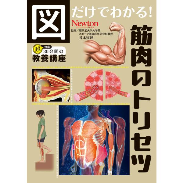 出版社名：ニュートンプレス著者名：谷本道哉シリーズ名：超効率３０分間の教養講座発行年月：2025年08月キーワード：ズ ダケデ ワカル キンニク ノ トリセツ、タニモト,ミチヤ