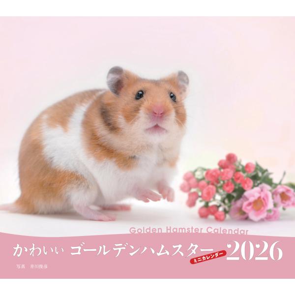 出版社名：誠文堂新光社著者名：井川俊彦シリーズ名：［カレンダー］発行年月：2025年09月キーワード：カワイイ ゴールデン ハムスター カレンダー、イガワ,トシヒコ