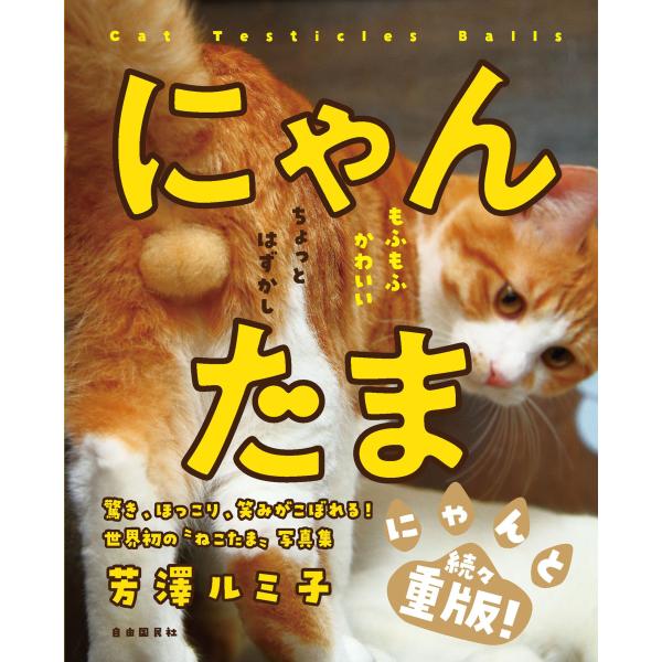 出版社名：自由国民社著者名：芳澤ルミ子発行年月：2016年06月キーワード：ニャンタマ、ヨシザワ,ルミコ