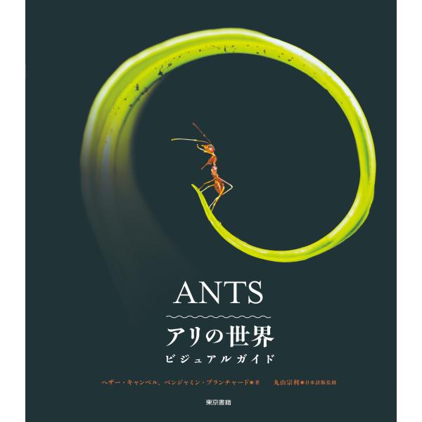 出版社名：東京書籍著者名：ヘザー・キャンベル、ベンジャミン・ブランチャード、丸山宗利発行年月：2026年09月キーワード：アンツ アリ ノ セカイ ビジュアル ガイド、キャンベル,ヘザー、ブランチャード,ベンジャミン、マルヤマ,ムネトシ
