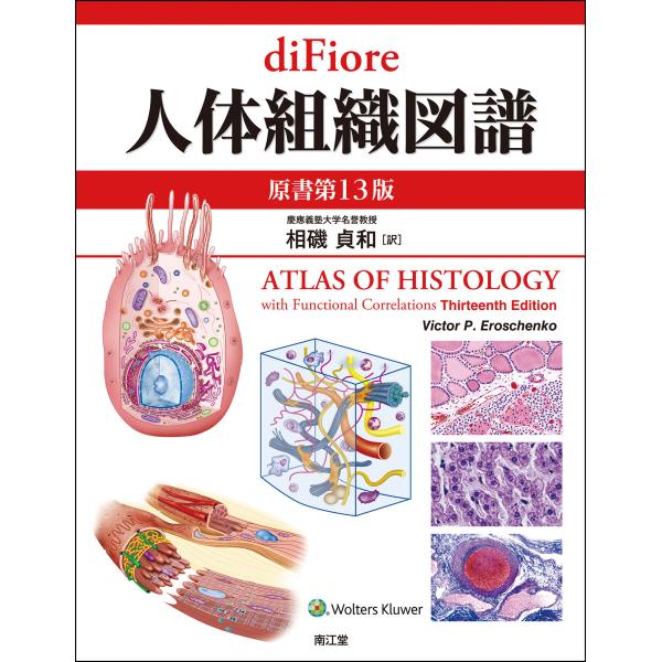 出版社名：南江堂著者名：ヴィクター・Ｐ．エロスチェンコ、相磯貞和発行年月：2025年04月版：原書第１３版キーワード：ディ フィオレ ジンタイ ソシキ ズフ*DI FIORE ジンタイ ソシキ ズフ、エロスチェンコ,ヴィクター・P.、アイソ...