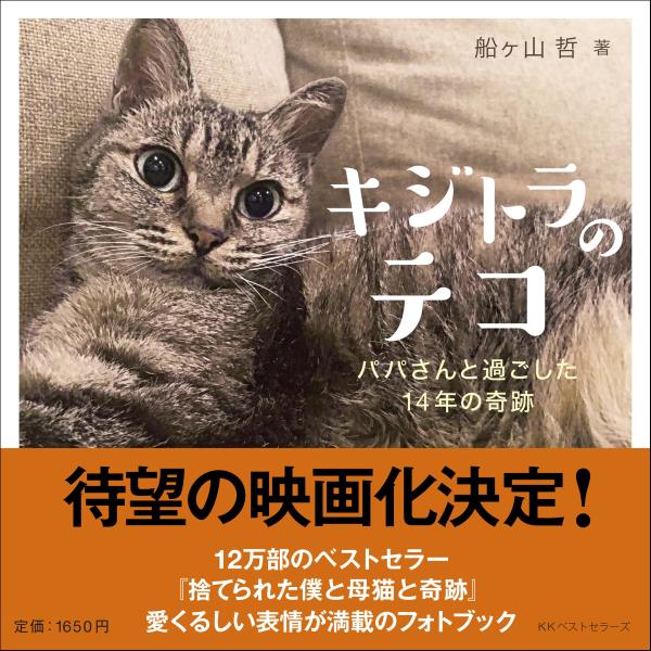 出版社名：ベストセラーズ著者名：船ヶ山哲発行年月：2026年06月キーワード：キジトラ ノ テコ パパサン ト スゴシタ ジュウヨネン ノ キセキ、フナガヤマ,テツ