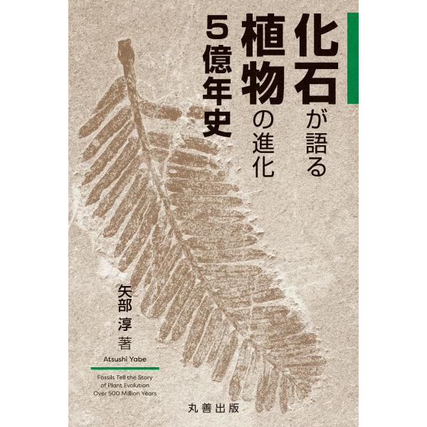 出版社名：丸善出版著者名：矢部淳発行年月：2025年08月キーワード：カセキ ガ カタル ショクブツ ノ シンカ ゴオクネンシ、ヤベ,アツシ