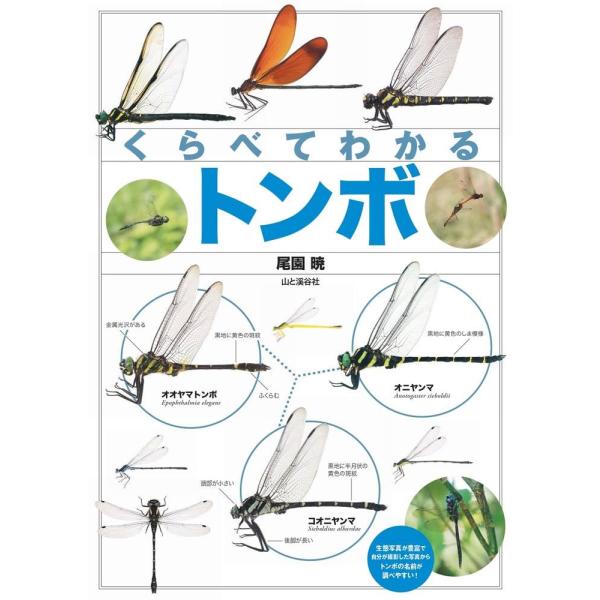 出版社名：山と渓谷社著者名：尾園暁発行年月：2023年08月キーワード：クラベテ ワカル トンボ、オゾノ,アキラ