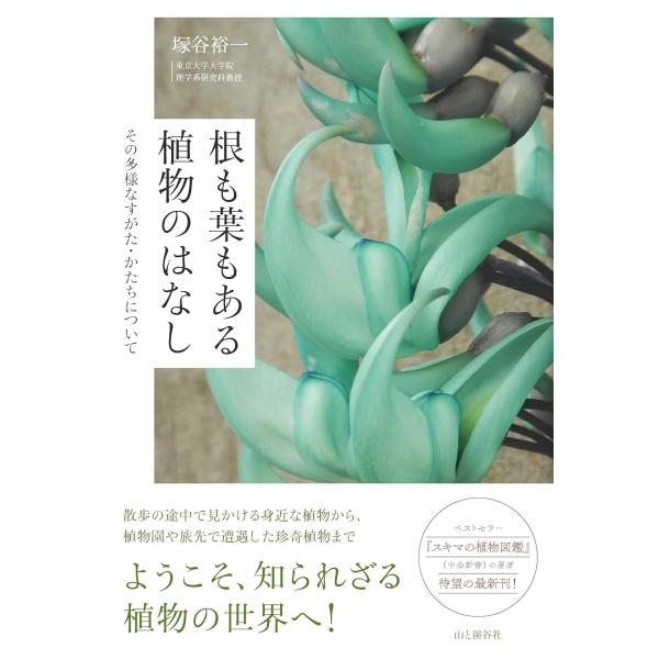 出版社名：山と渓谷社著者名：塚谷裕一発行年月：2025年08月キーワード：ネ モ ハ モ アル ショクブツ ノ ハナシ ソノ タヨウナ スガタ カタチ ニ ツイテ、ツカヤ,ヒロカズ