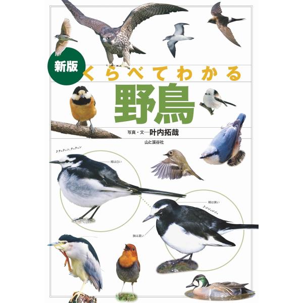 出版社名：山と渓谷社著者名：叶内拓哉発行年月：2025年04月版：新版キーワード：クラベテ ワカル ヤチョウ、カノウチ,タクヤ