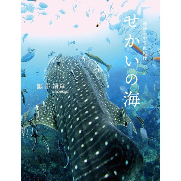 出版社名：山と渓谷社著者名：鍵井靖章発行年月：2024年08月キーワード：セカイ ノ ウミ チキュウ カイチュウ ケシキ キコウ、カギイ,ヤスアキ