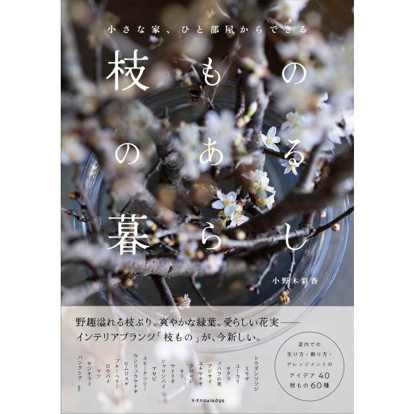出版社名：エクスナレッジ著者名：小野木彩香発行年月：2024年06月キーワード：チイサナ イエ ヒトヘヤ カラ デキル エダモノ ノ アル クラシ、オノギ,アヤカ