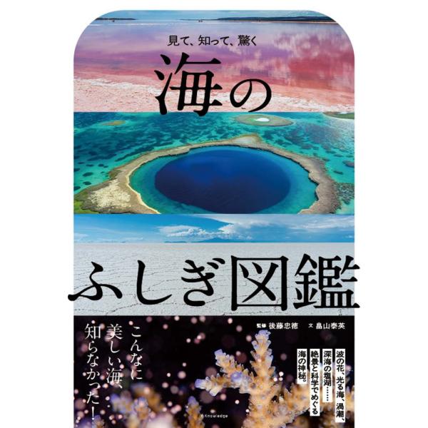 出版社名：エクスナレッジ著者名：後藤忠徳、畠山泰英発行年月：2026年07月キーワード：ウミ ノ フシギ ズカン、ゴトウ,タダノリ、ハタケヤマ,ヤスフサ
