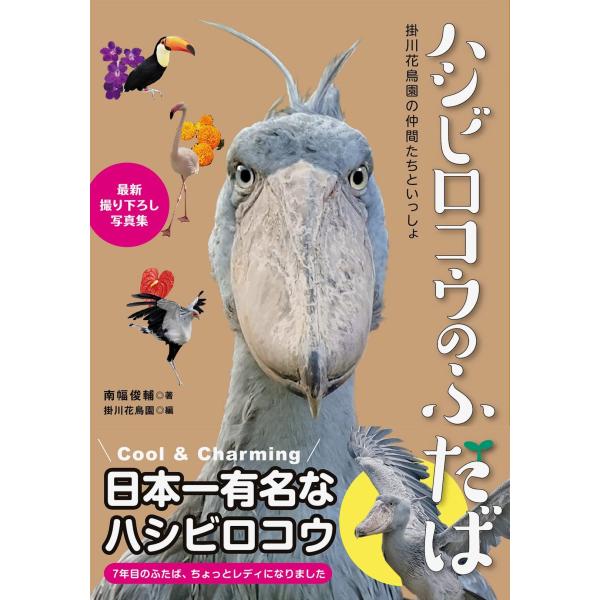 出版社名：辰巳出版著者名：南幅俊輔、掛川花鳥園発行年月：2023年04月キーワード：ハシビロコウ ノ フタバ、ミナミハバ,シュンスケ、カケガワ カチョウエン