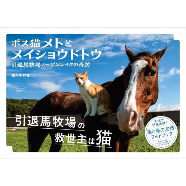 出版社名：辰巳出版著者名：佐々木祥恵発行年月：2023年12月キーワード：ボスネコ メト ト メイショウドトウ、ササキ,サチエ