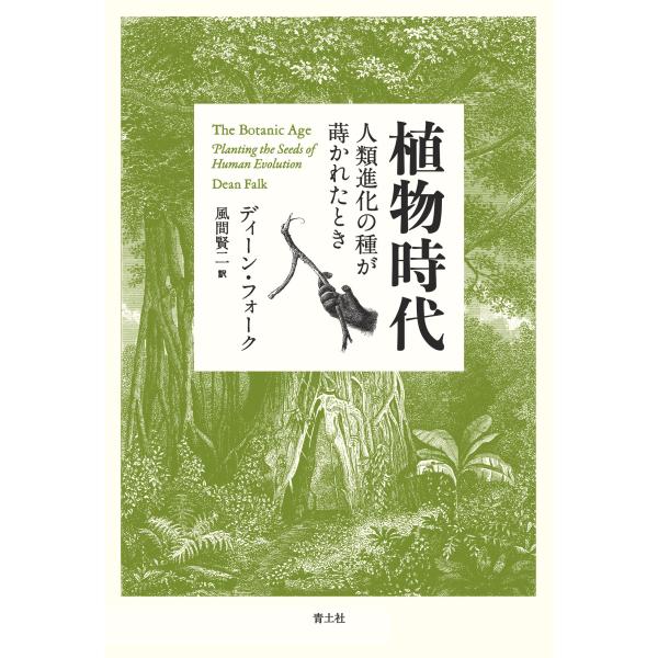 出版社名：青土社著者名：ディーン・フォーク、風間賢二、長谷川眞理子発行年月：2026年06月キーワード：ショクブツ ジダイ ジンルイ シンカ ノ タネ ガ マカレタ トキ、フォーク,ディーン、カザマ,ケンジ、ハセガワ,マリコ