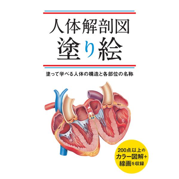 出版社名：ホビージャパン著者名：戸坂藤子発行年月：2024年04月キーワード：ジンタイ カイボウズ ヌリエ、トサカ,フジコ