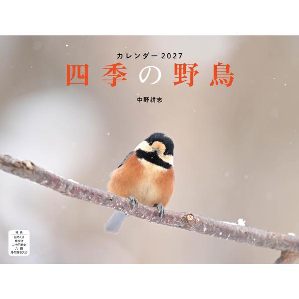 出版社名：イカロス出版著者名：中野耕志シリーズ名：［カレンダー］発行年月：2026年09月キーワード：シキ ノ ヤチョウ カレンダー、ナカノ,コウジ