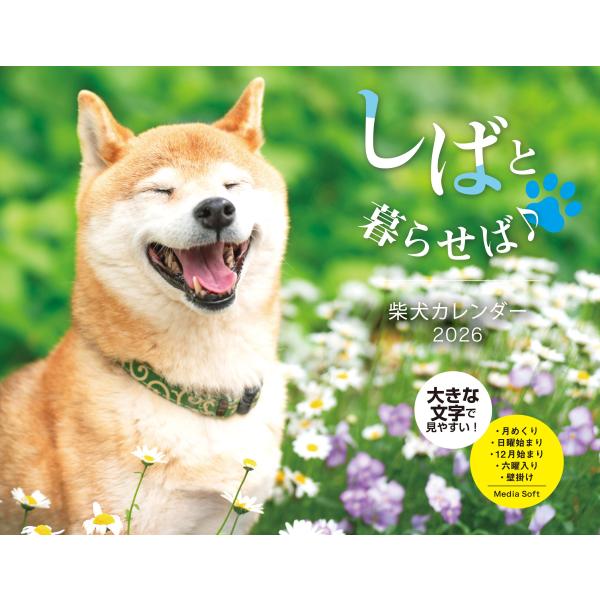 出版社名：メディアソフト、三交社（台東区）シリーズ名：［カレンダー］発行年月：2025年09月キーワード：シバト クラセバ シバイヌ カレンダー