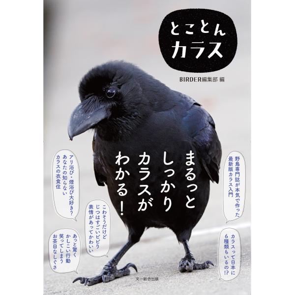 出版社名：文一総合出版著者名：ＢＩＲＤＥＲ編集部発行年月：2023年09月キーワード：トコトン カラス、バーダー ヘンシュウブ