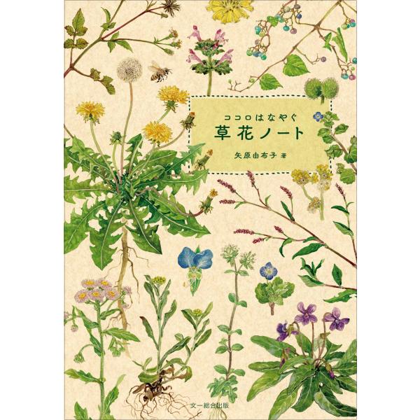出版社名：文一総合出版著者名：矢原由布子、鈴木純（植物観察家）発行年月：2026年04月キーワード：ココロ ハナヤグ クサバナ ノート、ヤハラ,ユウコ、スズキ,ジュン