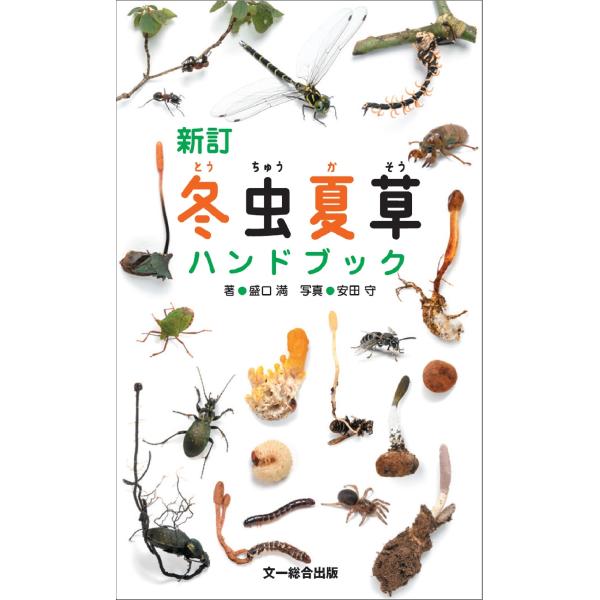 出版社名：文一総合出版著者名：盛口満、安田守発行年月：2023年06月版：新訂キーワード：トウチュウ カソウ ハンドブック、モリグチ,ミツル、ヤスダ,マモル