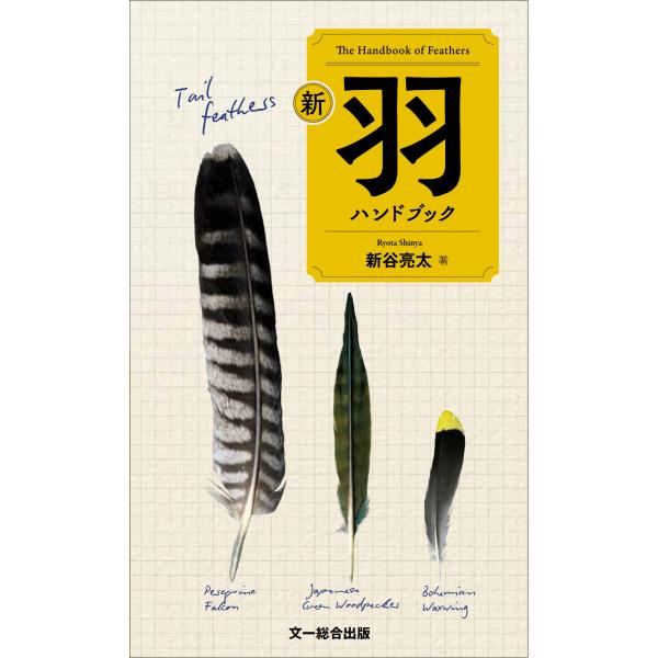 出版社名：文一総合出版著者名：新谷亮太発行年月：2026年07月キーワード：シン ハネ ハンド ブック、シンヤ,リョウタ