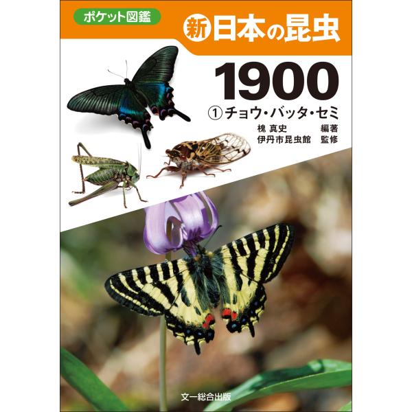 出版社名：文一総合出版著者名：槐真史、伊丹市昆虫館シリーズ名：ポケット図鑑発行年月：2024年07月キーワード：シン ニホン ノ コンチュウ センキュウヒャク*シン ニホン ノ コンチュウ 1900、エンジュ,マサシ、イタミシ コンチュウカン