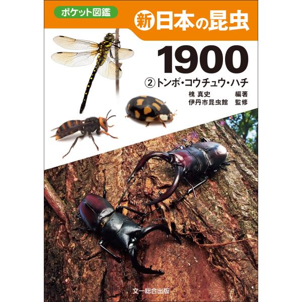出版社名：文一総合出版著者名：槐真史、伊丹市昆虫館シリーズ名：ポケット図鑑発行年月：2024年07月キーワード：シン ニホン ノ コンチュウ センキュウヒャク*ニホン ノ コンチュウ 1900、エンジュ,マサシ、イタミシ コンチュウカン