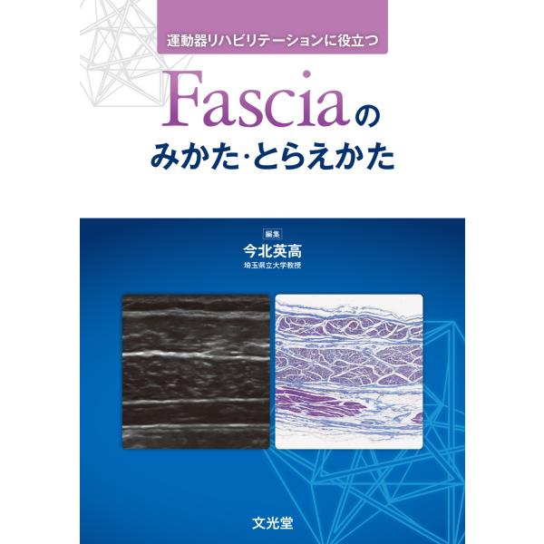 出版社名：文光堂著者名：今北英高発行年月：2023年10月キーワード：ウンドウキ リハビリテーション ニ ヤクダツ ファシア ノ ミカタ トラエカタ、イマギタ,ヒデタカ