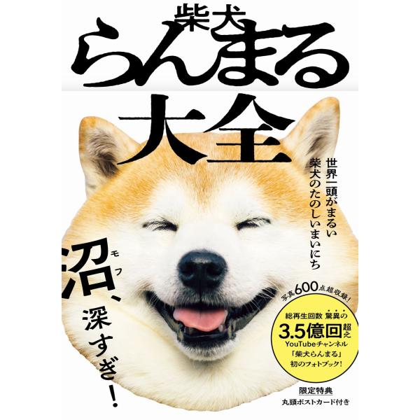 出版社名：ワニブックス著者名：丸頭製作所発行年月：2026年05月キーワード：シバイヌ ランマル タイゼン セカイイチ アタマ ガ マルイ シバイヌ ノ タノシイ マイニチ、マルアタマ セイサクジョ