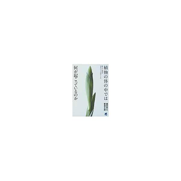 出版社名：ベレ出版著者名：嶋田幸久、萱原正嗣シリーズ名：Ｂｅｒｅｔ　ｓｃｉｅｎｃｅ発行年月：2015年03月キーワード：ショクブツ ノ カラダ ノ ナカ デワ ナニ ガ オコッテイルノカ、シマダ,ユキヒサ、カヤハラ,マサツグ