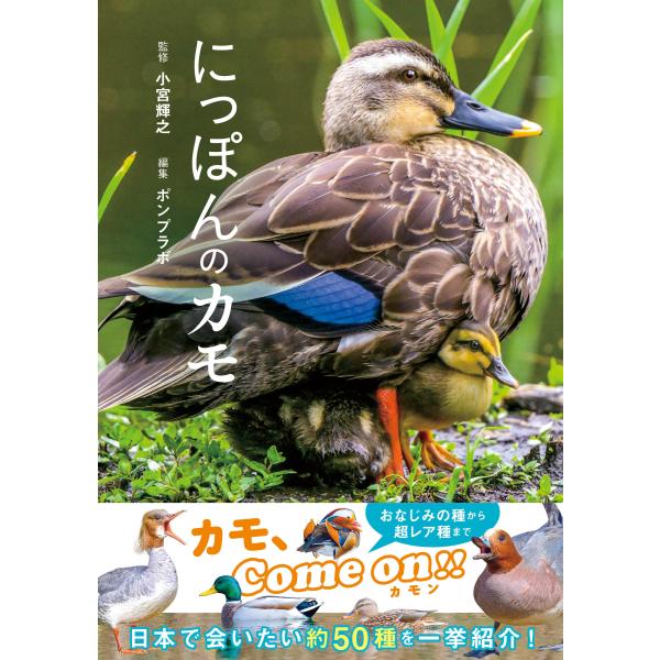 出版社名：カンゼン著者名：小宮輝之、ポンプラボ発行年月：2025年11月キーワード：ニッポン ノ カモ、コミヤ,テルユキ、ポンプラボ
