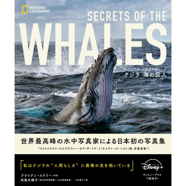 出版社名：日経ナショナルジオグラフィック社、日経ＢＰマーケティング著者名：ブライアン・スケリー、片神貴子、田島木綿子シリーズ名：ＮＡＴＩＯＮＡＬ　ＧＥＯＧＲＡＰＨＩＣ発行年月：2023年07月キーワード：クジラ ウミ ノ キョジン、スケリー...