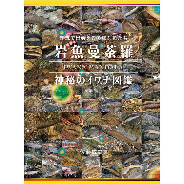 出版社名：つり人社著者名：佐藤成史発行年月：2024年11月キーワード：イワナ マンダラ、サトウ,セイジ