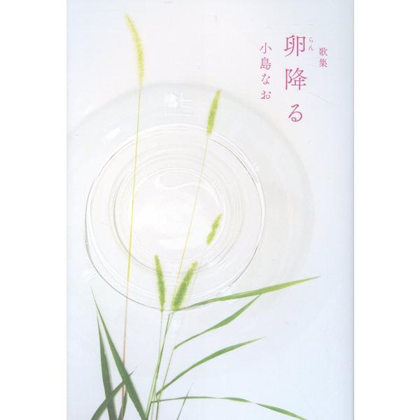 出版社名：左右社著者名：小島なおシリーズ名：コスモス叢書発行年月：2025年12月キーワード：ラン フル、コジマ,ナオ