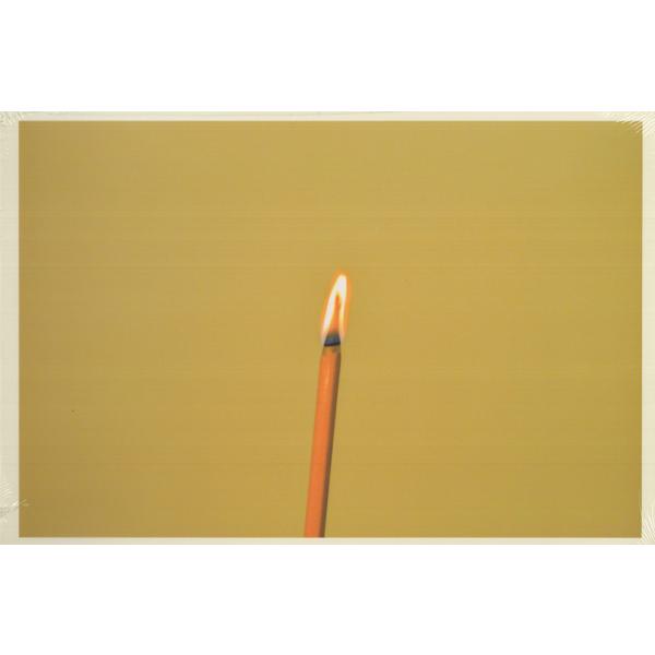 出版社名：赤々舎、地方・小出版流通センター著者名：藤岡亜弥発行年月：2025年09月キーワード：ライフ スタディーズ、フジオカ,アヤ