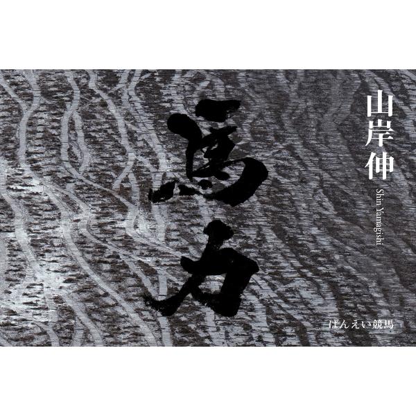 出版社名：日本写真企画著者名：山岸伸発行年月：2025年12月キーワード：バリキ バンエイ ケイバ、ヤマギシ,シン