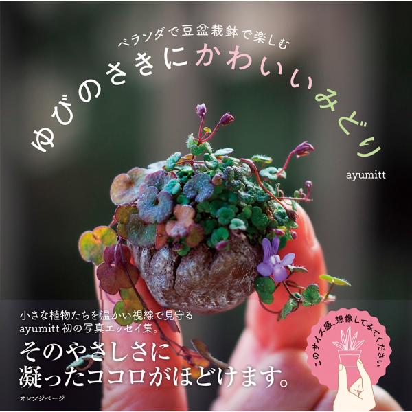 出版社名：オレンジページ著者名：種田あゆみ発行年月：2025年05月キーワード：ベランダ デ マメ ボンサイバチ デ タノシム ユビ ノ サキ ニ カワイイ ミドリ、タネダ,アユミ