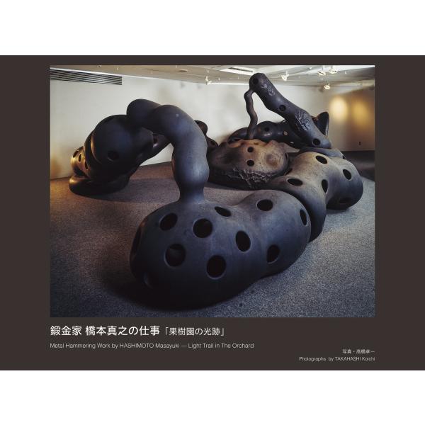 出版社名：阿部出版著者名：橋本真之発行年月：2025年09月キーワード：タンキンカ ハシモト マサユキ ノ シゴト カジュエン ノ コウセキ、ハシモト,マサユキ