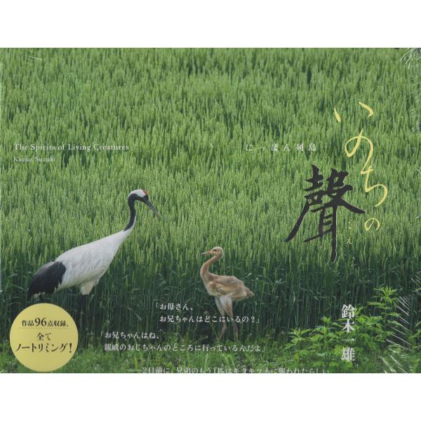 出版社名：風景写真出版、地方・小出版流通センター著者名：鈴木一雄（写真家）発行年月：2025年08月キーワード：イノチ ノ コエ、スズキ,カズオ