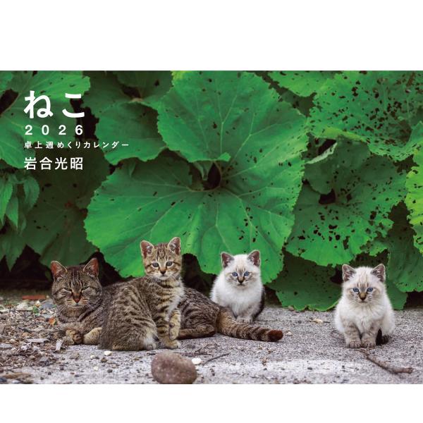 出版社名：クレヴィス著者名：岩合光昭シリーズ名：［カレンダー］発行年月：2025年04月キーワード：イワゴウ ミツアキ ネコ タクジョウ シュウメクリ カレンダー、イワゴウ,ミツアキ