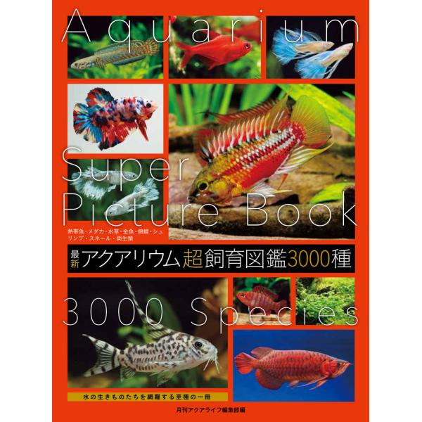 出版社名：エムピージェー著者名：月刊アクアライフ編集部発行年月：2026年04月キーワード：サイシン アクアリウム チョウ シイクズカン サンゼンシュ、ゲッカン アクアライフ ヘンシュウブ