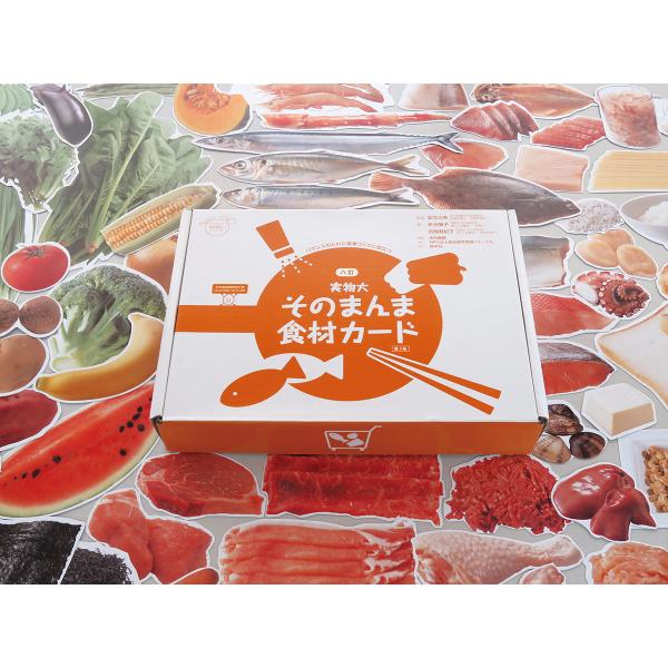 出版社名：群羊社著者名：足立己幸、針谷順子、吉岡有紀子シリーズ名：群羊社のたのしい食育教材シリーズ発行年月：2026年02月版：第３版キーワード：ジツブツダイ ソノマンマ ショクザイ カード、アダチ,ミユキ、ハリガイ,ヨリコ、ヨシオカ,ユキコ