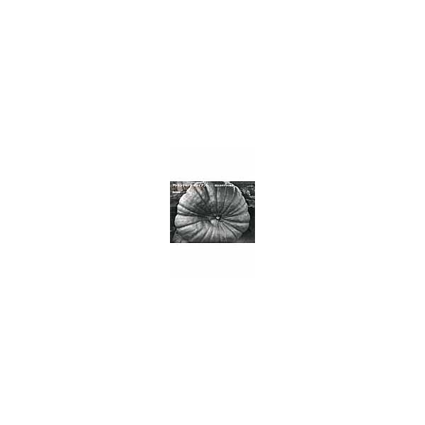 出版社名：フォトセレクトブックス、丸善出版著者名：吉村和敏発行年月：2016年10月キーワード：アトランティック ジャイアント*ATLANTIC GIANT、ヨシムラ,カズトシ