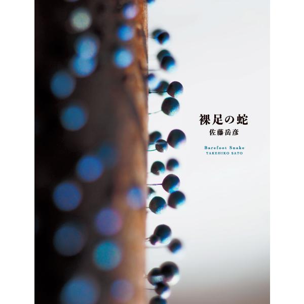 出版社名：ｕｌｕｓ　ｐｕｂｌｉｓｈｉｎｇ、鍬谷書店著者名：佐藤岳彦発行年月：2025年05月キーワード：ハダシ ノ ヘビ*BAREFOOT SNAKE、サトウ,タケヒコ
