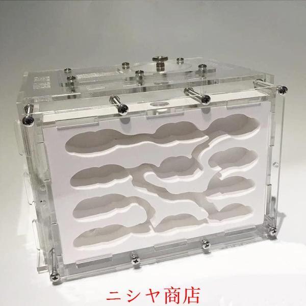 透明なアクリルでできたケースは360度どの方向からでも中のアリの生活を観察することができます。土やゲルを使用しないので腐らず清潔も簡単です。アリに快適に暮らせる理想的な飼育容器です。保湿性が高く湿度管理がしやすい、巣の上部（1/3）を湿らせ...