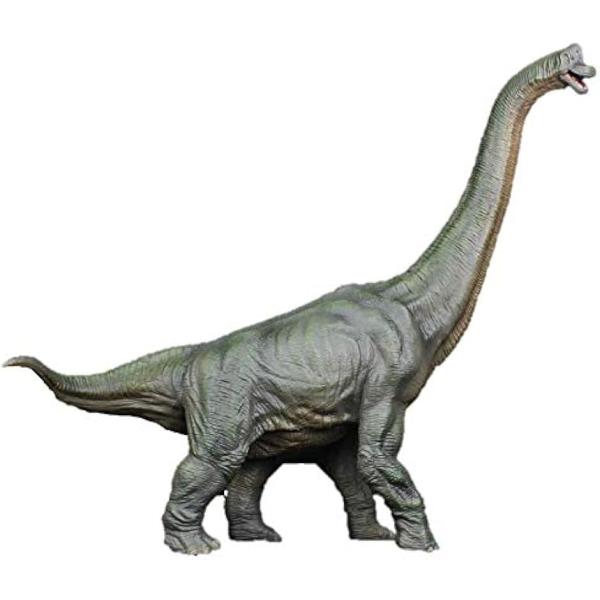 バリエーションコード : 2B6D5XNCRQ細部までこだわったリアルな恐竜になります。手作業で作業しておりますの多少の色が違う可能性もあります。ブラキオサウルス は、約1億5，400万 - 約1億5，300万年前にローラシア大陸西部に分布...